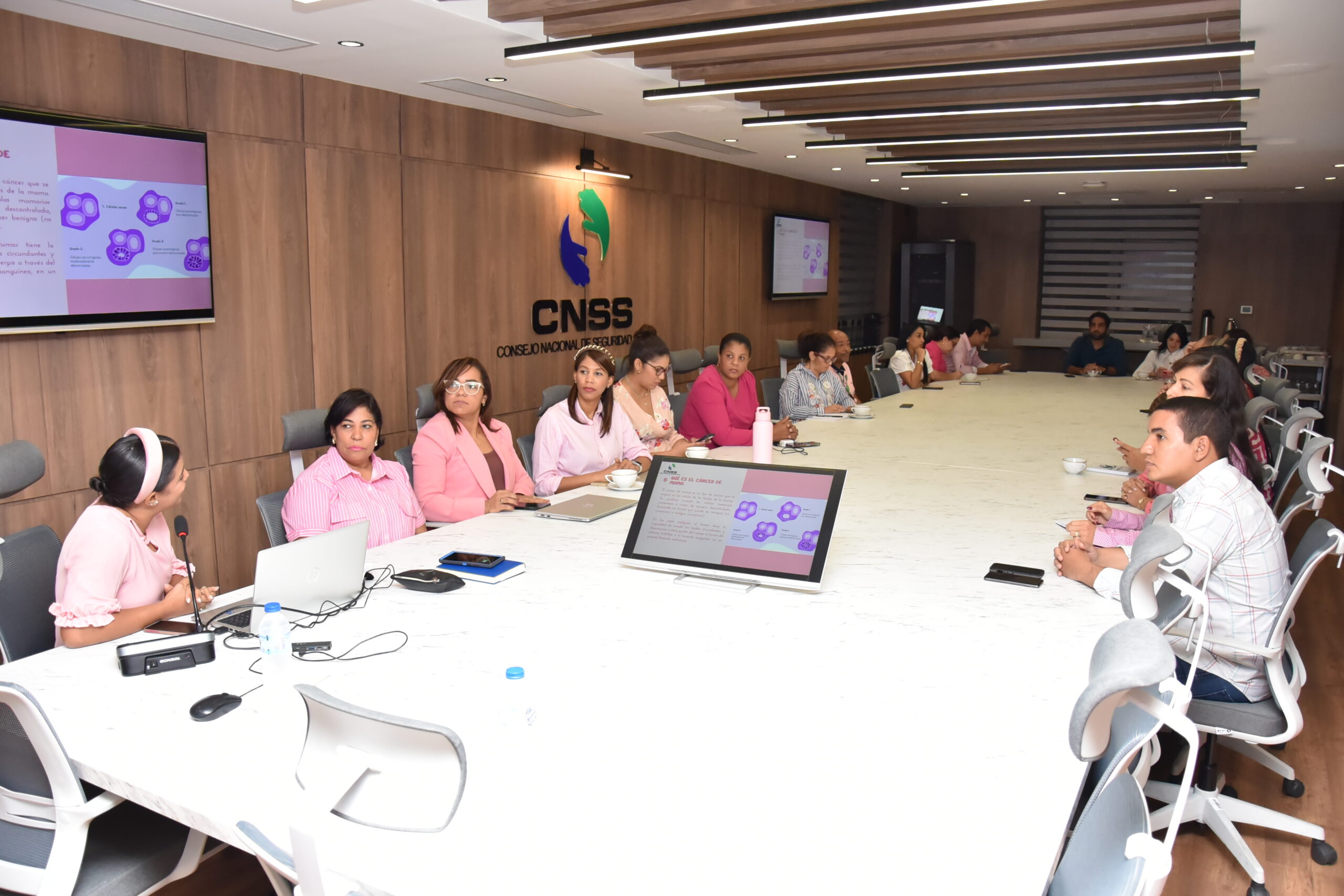 Inicio | Consejo Nacional de Seguridad Social | CNSS