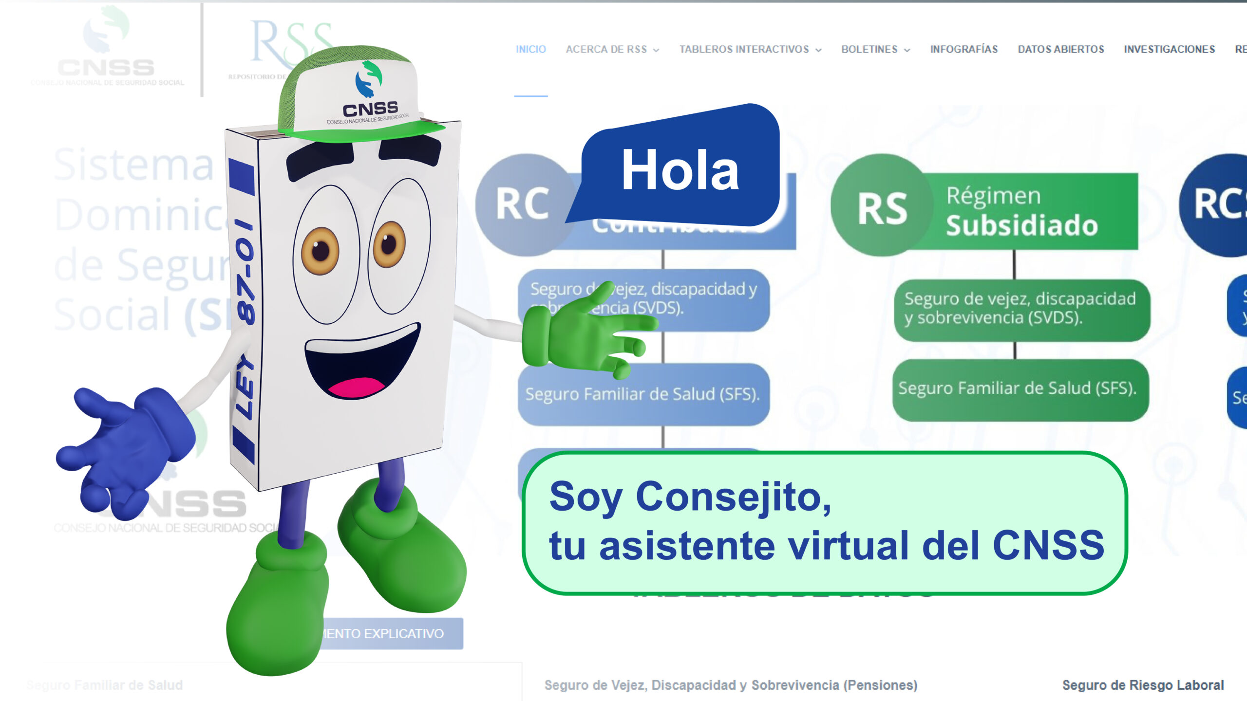 Inicio | Consejo Nacional de Seguridad Social | CNSS